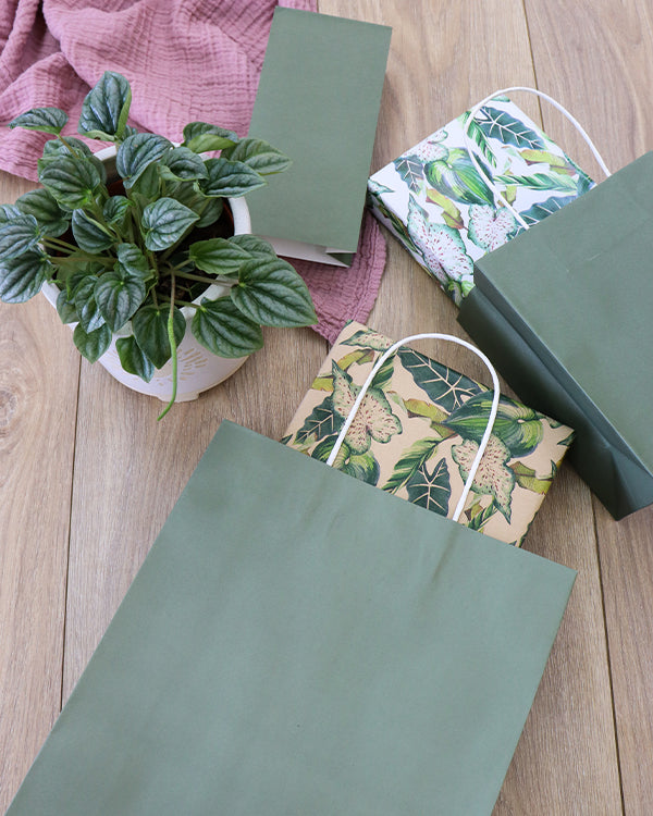 Earth Green Coloured Gift Paper Bag - 500/ctn – Bee Dee Bags